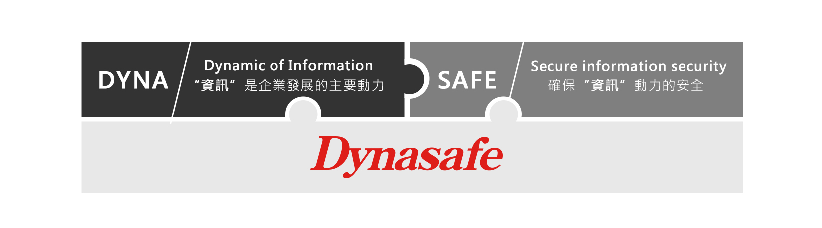 Dynasafe Events